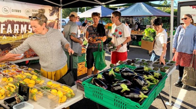 The 10 Best Farmers Markets in Auckland - An Ultimate Guide for Your ...
